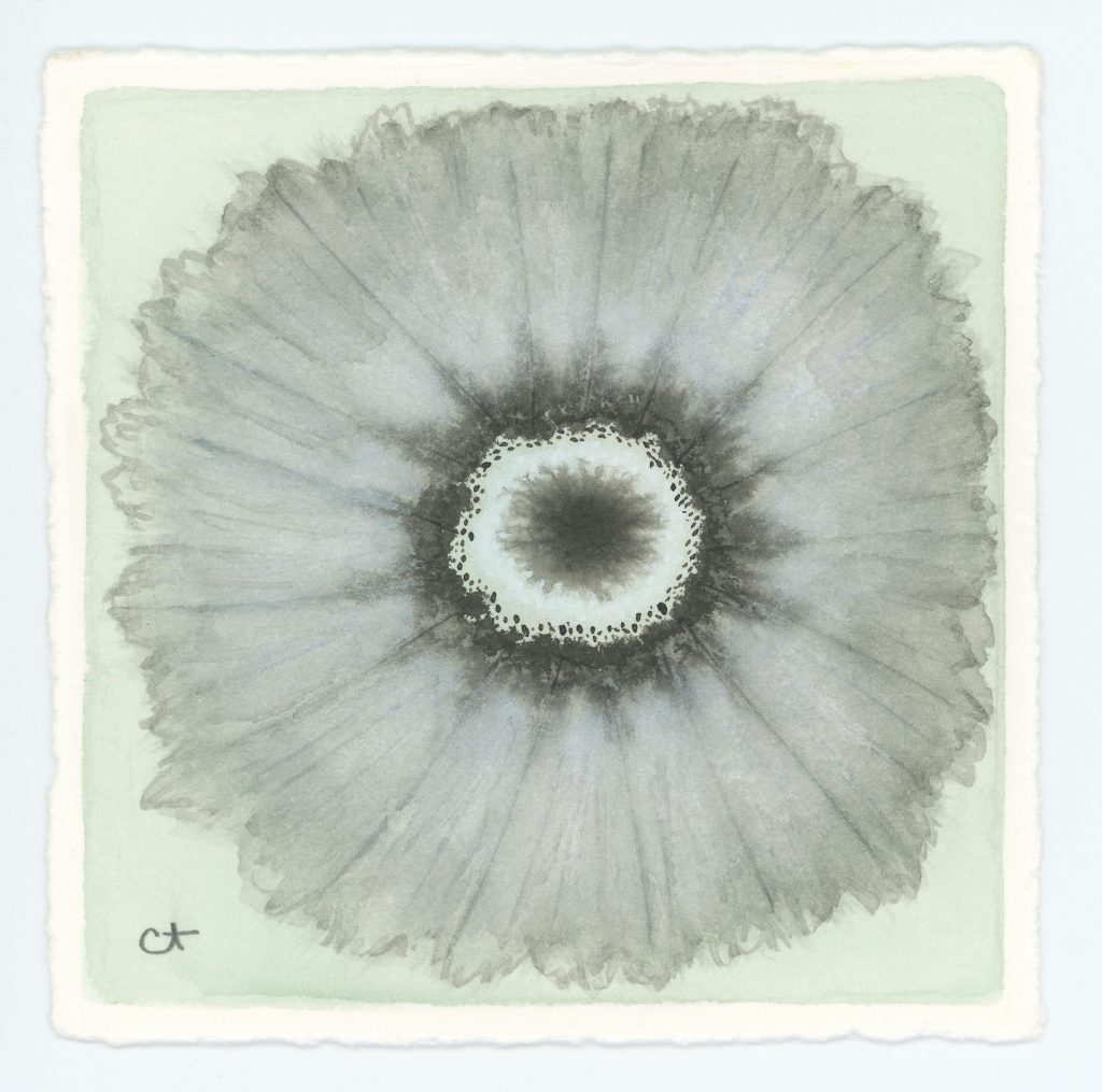 Corrie Thompson Art | Corrie Thompson Art